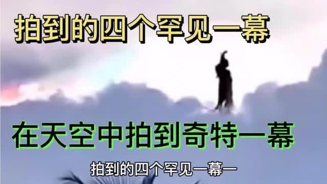 拍到的四个罕见一幕