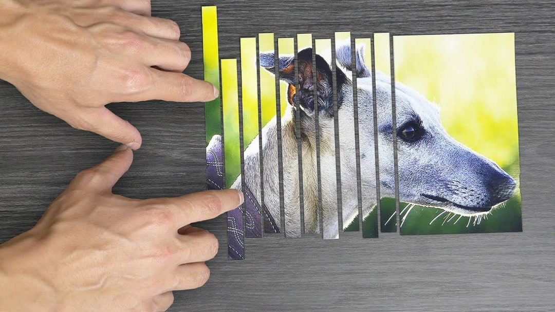 看完这些神奇的视错觉设计,你还相信自己的眼睛吗?