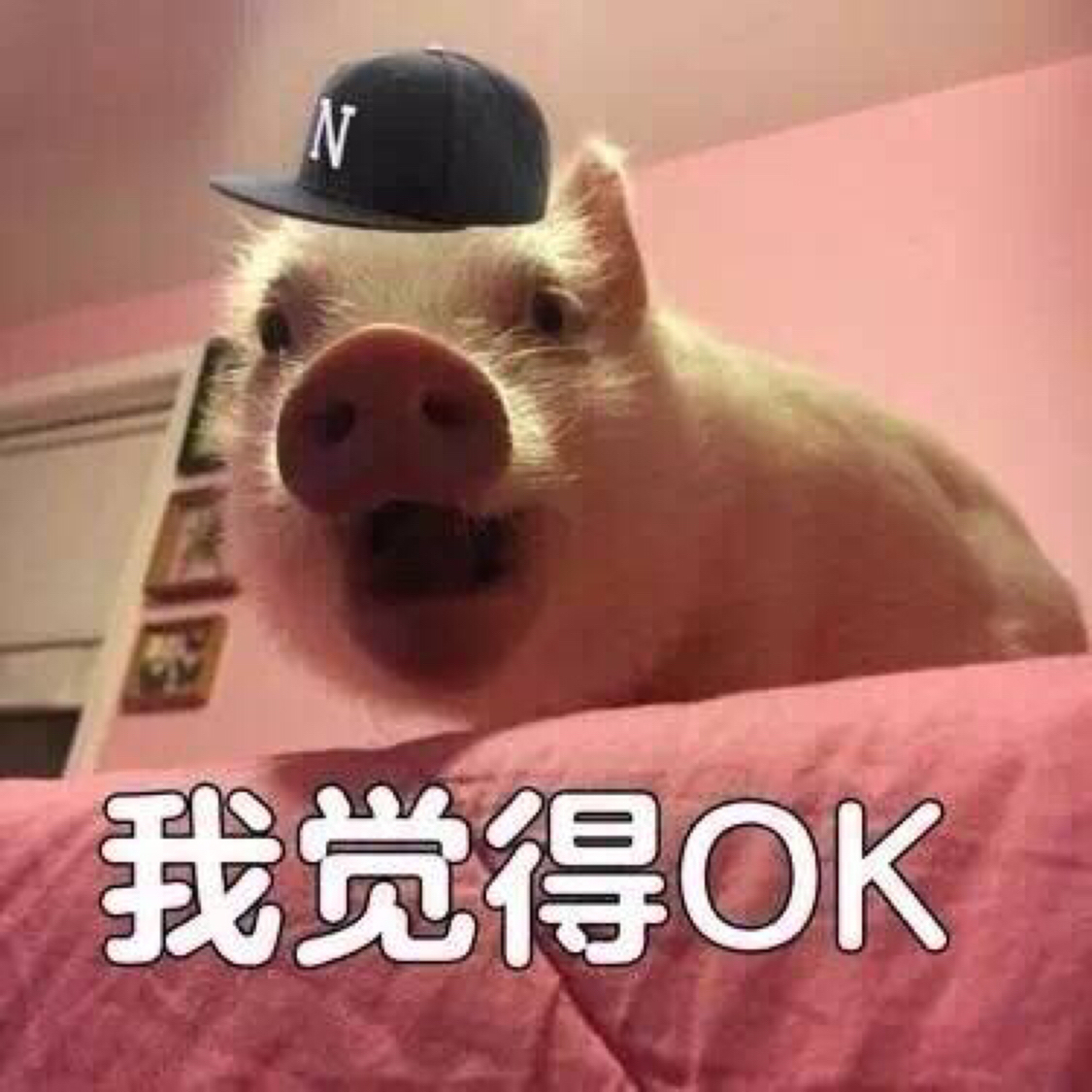 小赵同学来了 