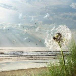 吃不胖的程序员 