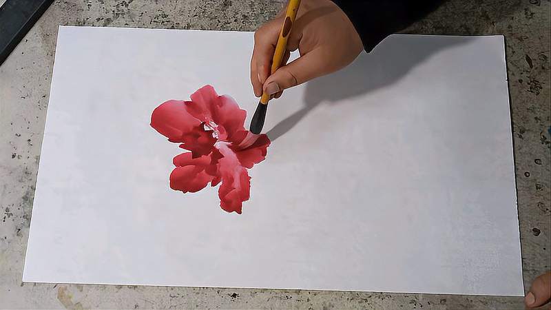 轻松画,写意牡丹