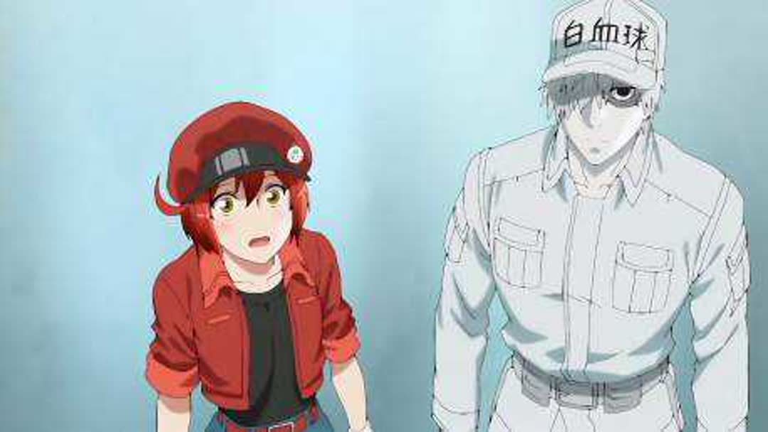 动画:当你得肺炎的时候,体内细胞却在谈恋爱,这狗粮不要也罢