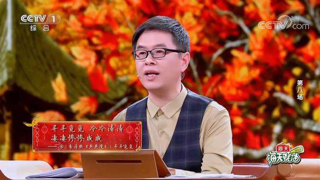 宋代女词人李清照的《声声慢》,郦波老师现场解析|中国诗词大会
