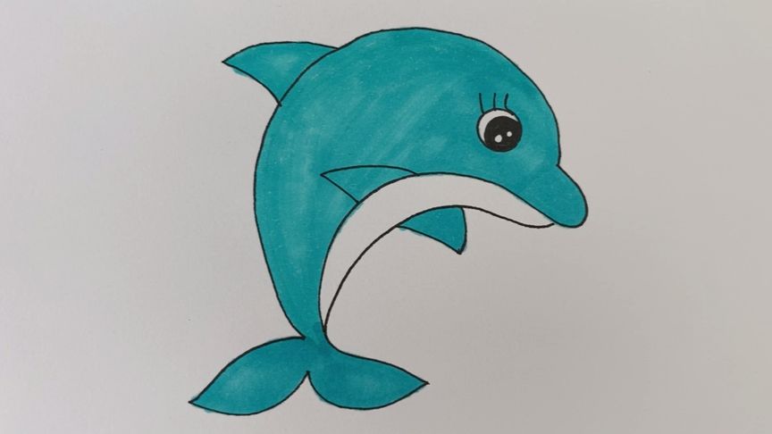 画一只美丽的海豚