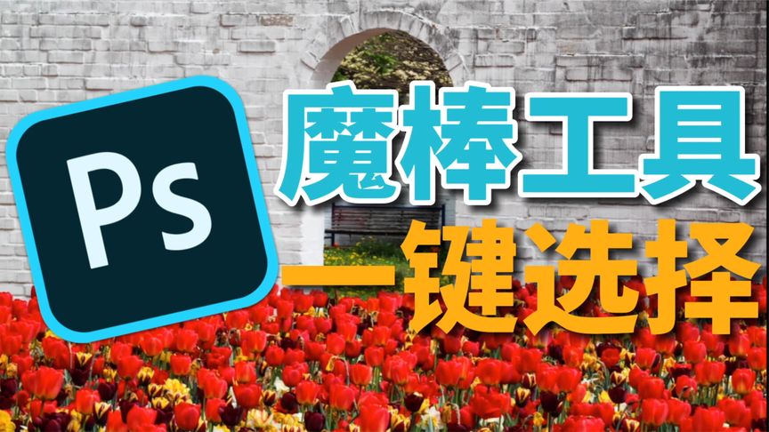 「Ps深度干货」魔棒工具快速选择 抠图达人养成! Photoshop教程