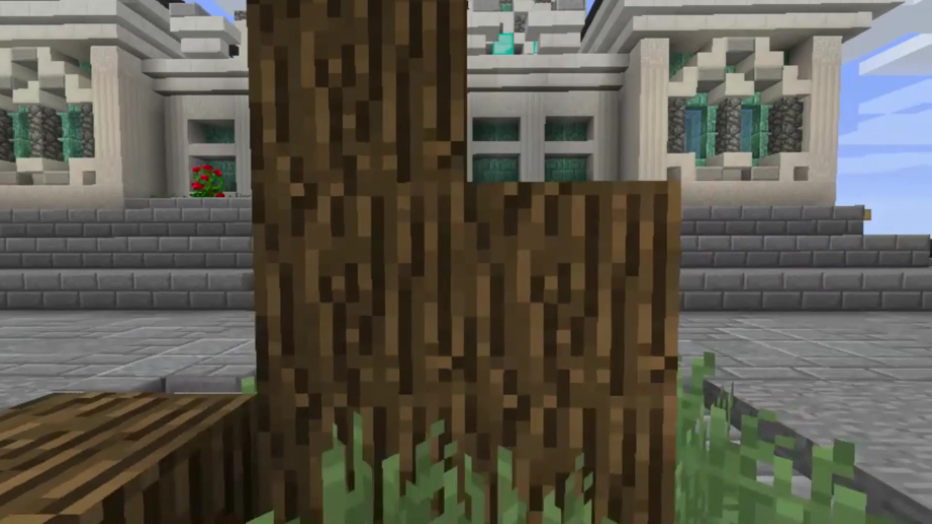 [我的世界]一个短暂的梦