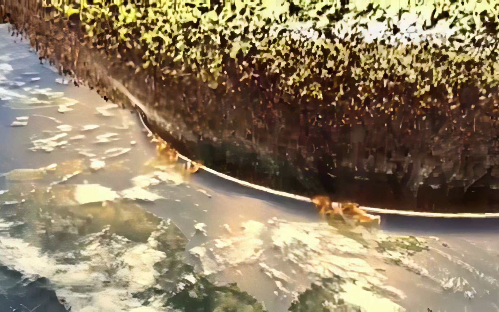 「鬼畜素材」地球陨石撞击(无水印)1080P