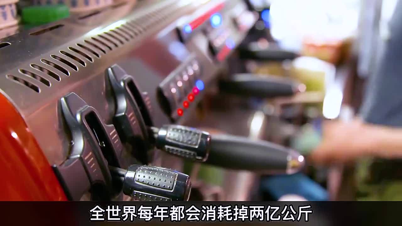 一颗咖啡豆的旅程,历经几十道工序,才能变成香气扑鼻的饮料