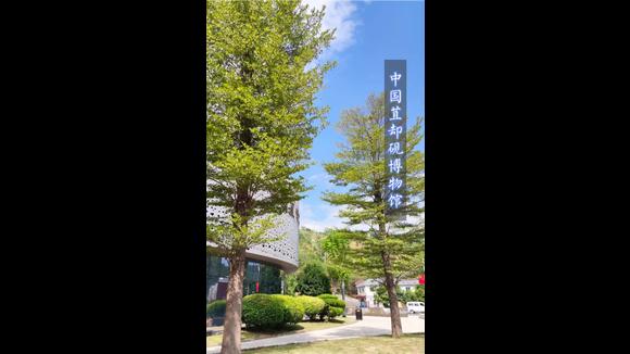 中国苴却砚博物馆