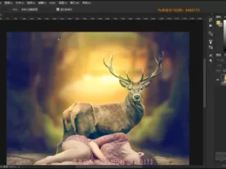 Photoshop基础入门教程全套第08课