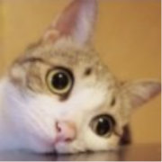 溪上青青 