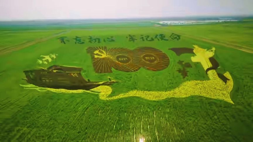 #记录生活 #稻田画#设计#爱国 听说稻田画非常好,垦利区也有了