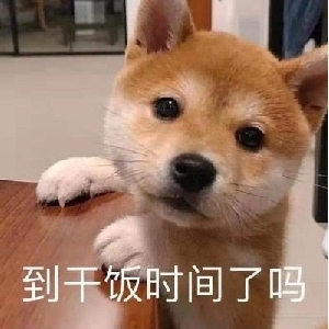 南垂文 