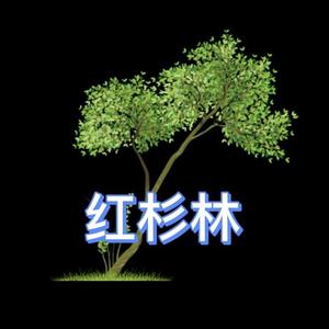执着667580A7O 