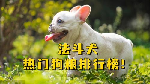 法斗犬热门狗粮排行榜,法斗犬狗粮举荐!