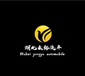 湖北永裕汽车 