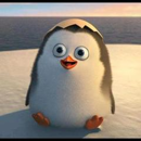 小企鹅益智动画A 