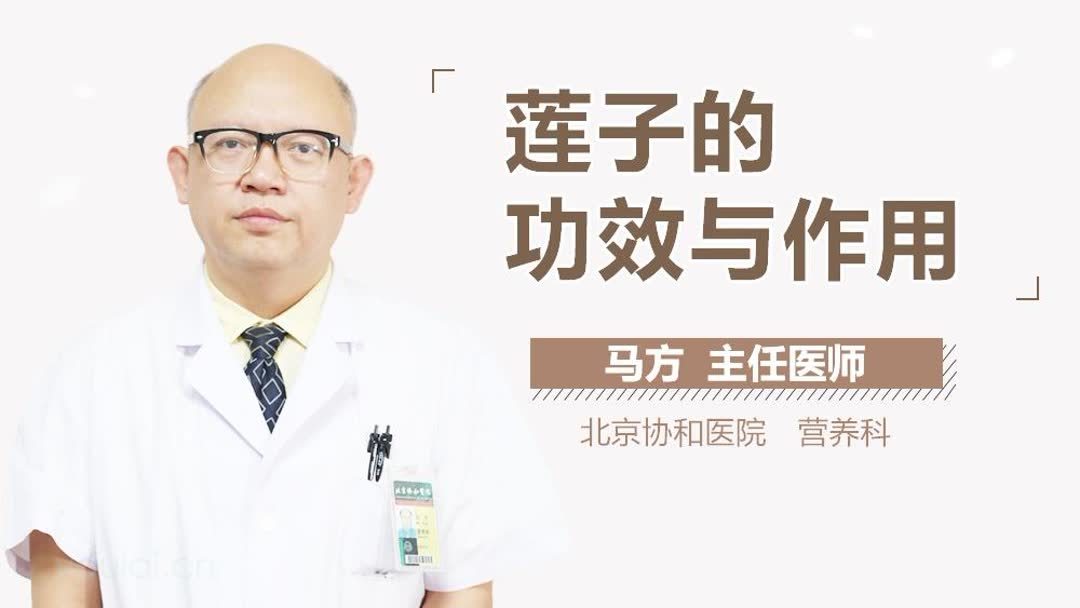 小小莲子竟然有如此功效!让你不敢相信!