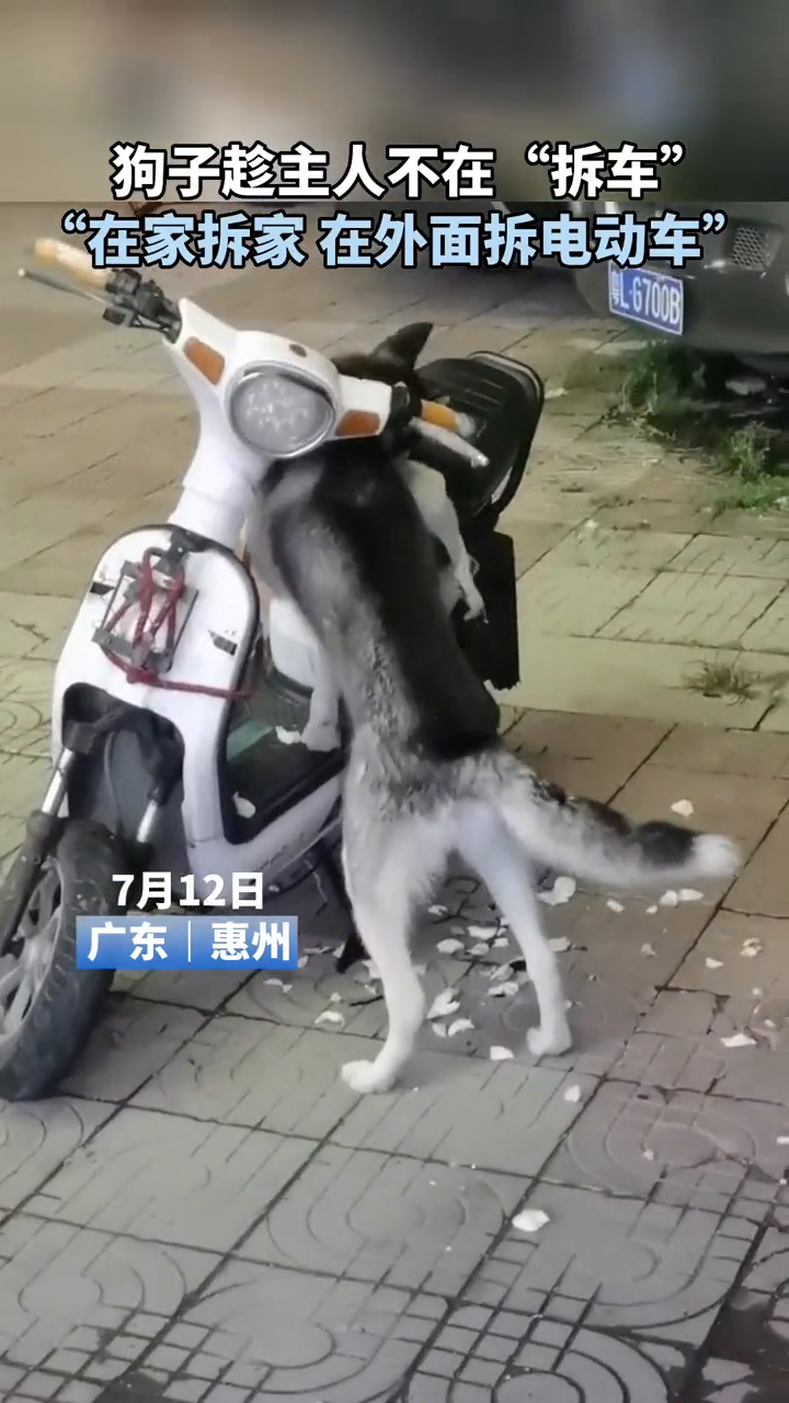 在家拆家在外面拆电动车