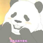 猪头熊 