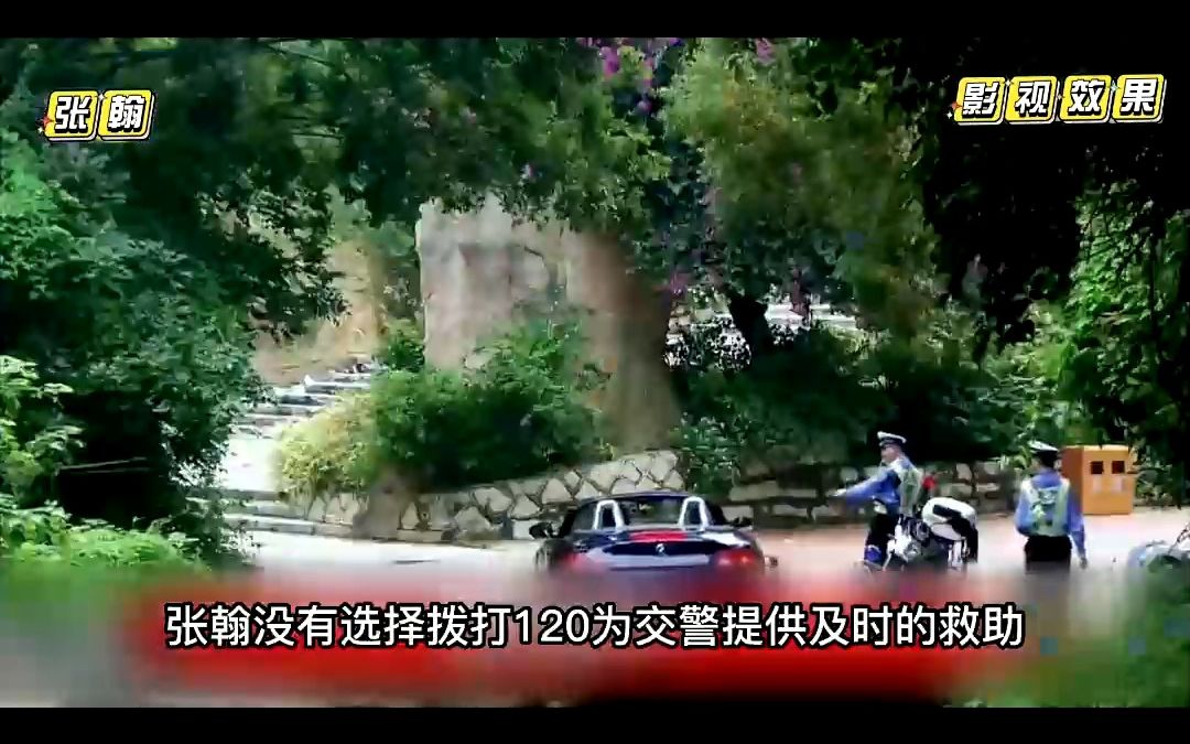 张翰曾涉嫌拖行交警致残