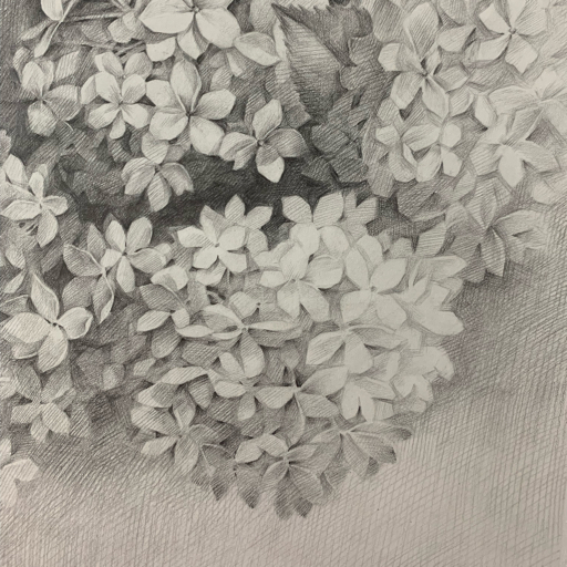 沄禾绘 
