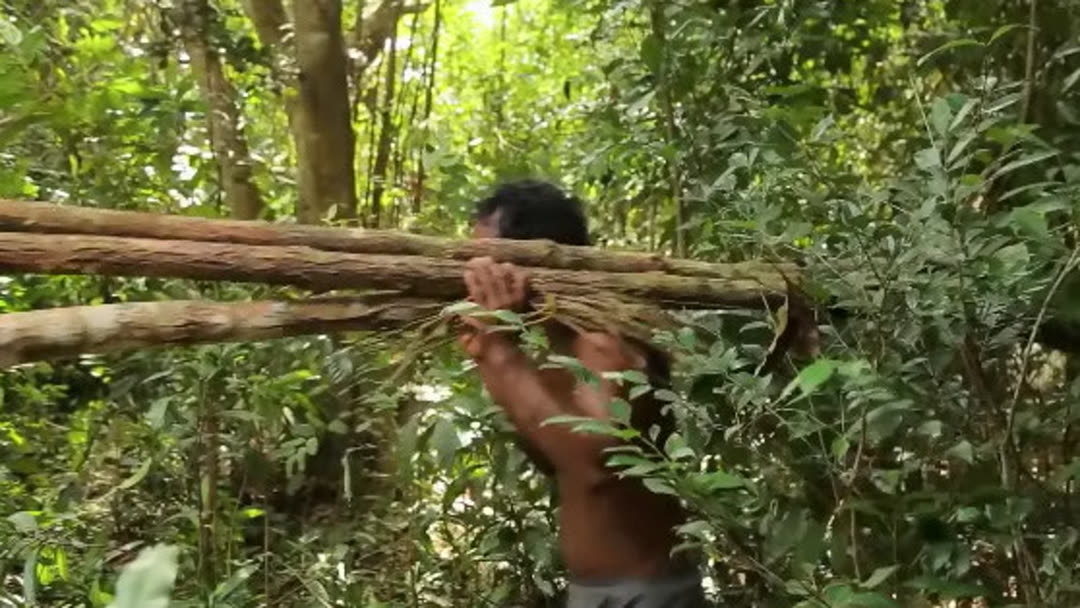森林人生活深林中,用原始技术搭盖木头房子,太聪明了