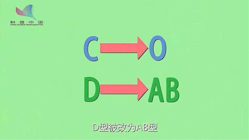 【你的血是“熊猫血”吗?快来了解一下关于血型的小知识】熊猫血...