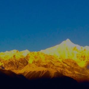 悠然南山东篱 