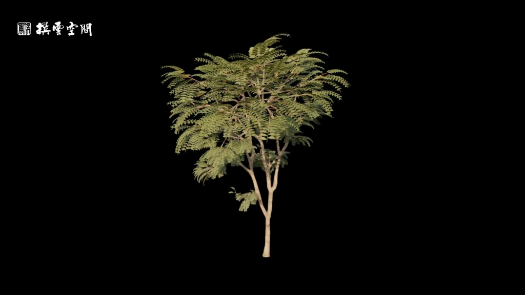 《数字化呵护海南黄花梨:树木三维建模技术的应用与意义》