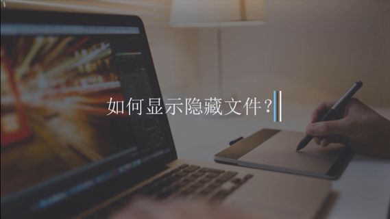 如何显示隐藏文件