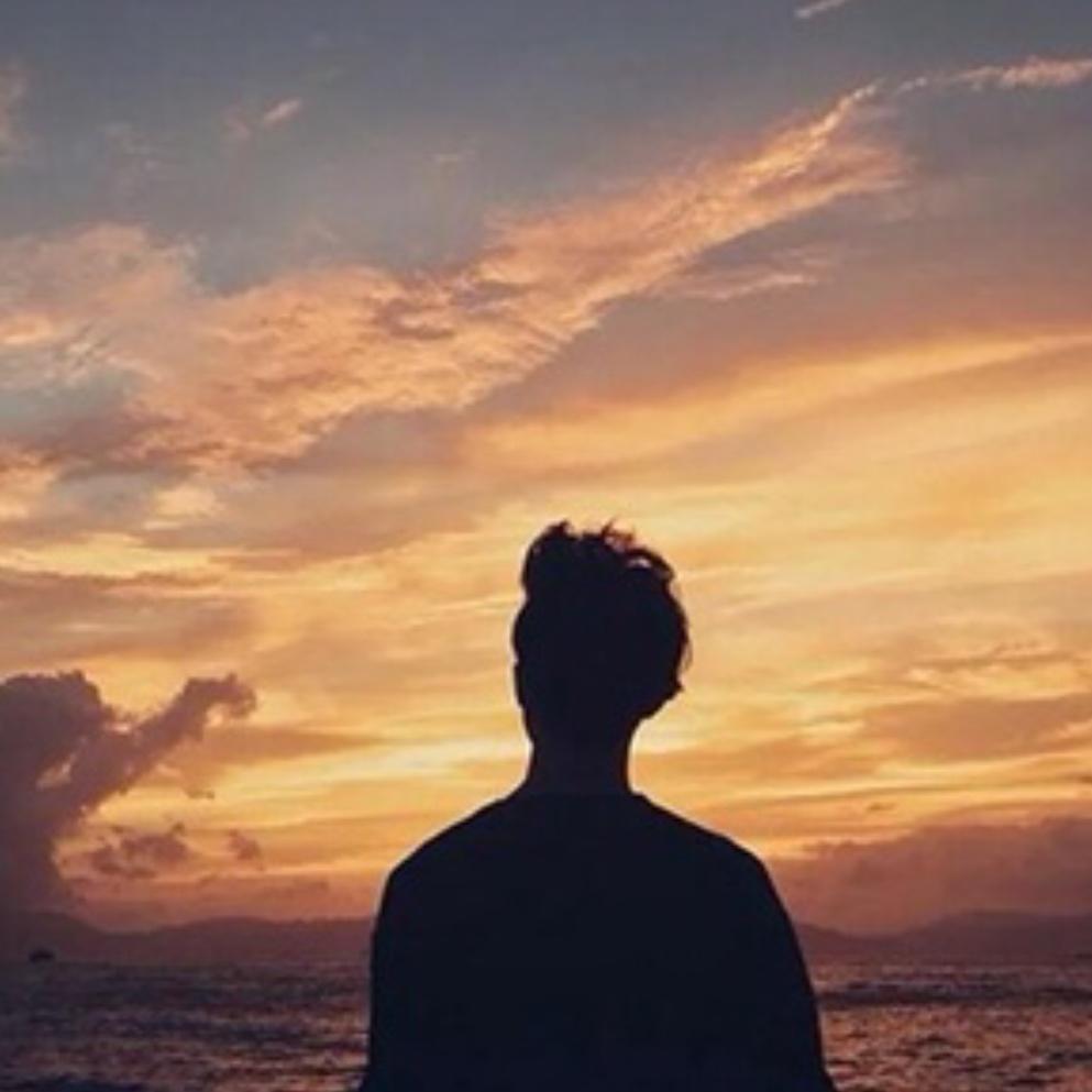 团团爱吃大芒果 