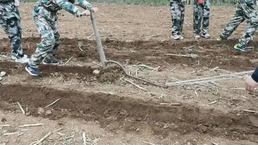 农耕研学实践