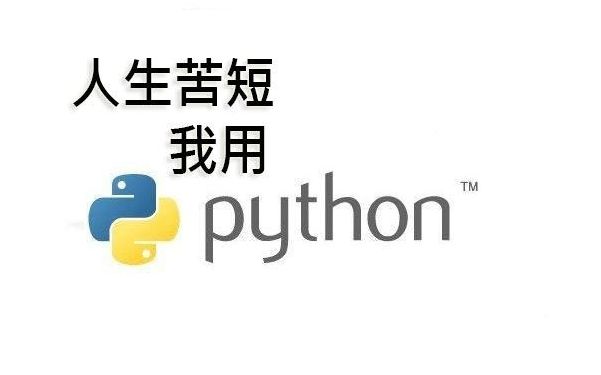 纯Python开发无广告搜索引擎,拒绝调用!