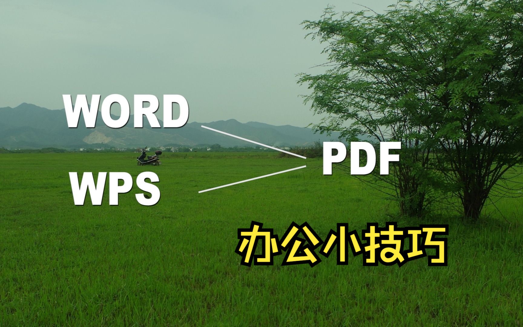 不用第三方软件,WORD轻松转换成PDF