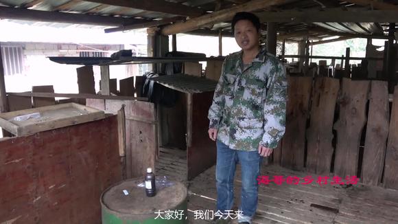 海哥的乡村生活:养羊分享——阉割技术