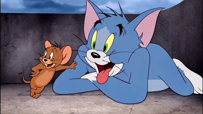 猫和老鼠治愈片段