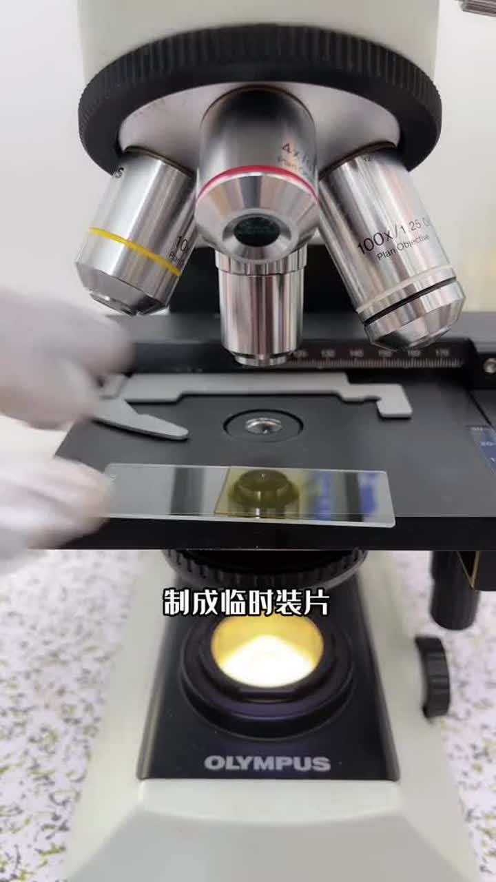 显微镜下血液放大1000倍!实验科普显微镜...