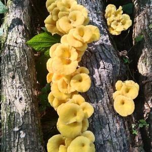 快乐农人的一天 