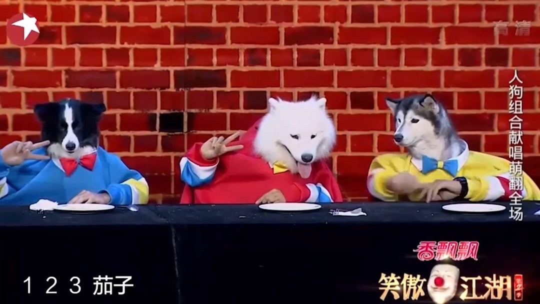 小品《宠物音乐会》:宠物狗表演才艺萌翻全场,专治各种不开心