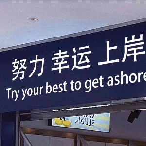 考试资料包子 