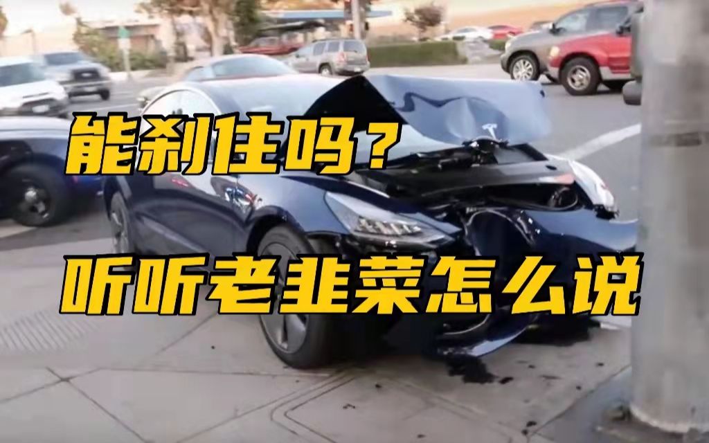 到底能不能刹住?特斯拉车主!电动汽车老韭菜!来和大家聊聊心里话