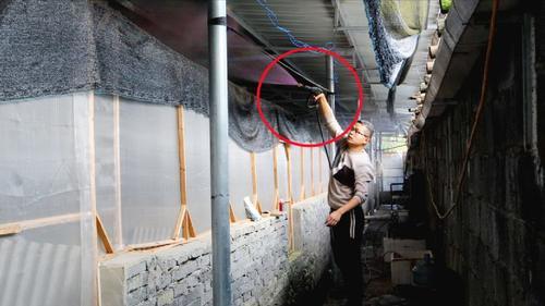 高人!小伙用高压水枪硬核消毒,1000㎡分分钟搞定,看着就过瘾