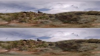 【360全景】全景动物世界 带3D效果