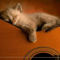 寂寞在唱歌70170727 