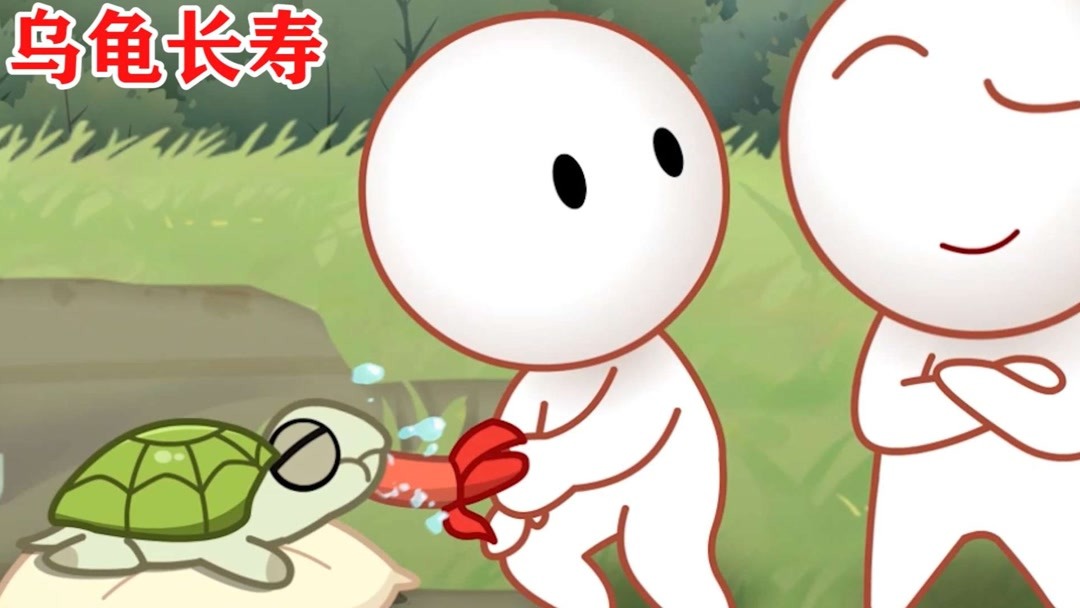 摩登大自然 第一百五十五集 你知道乌龟能活多久吗