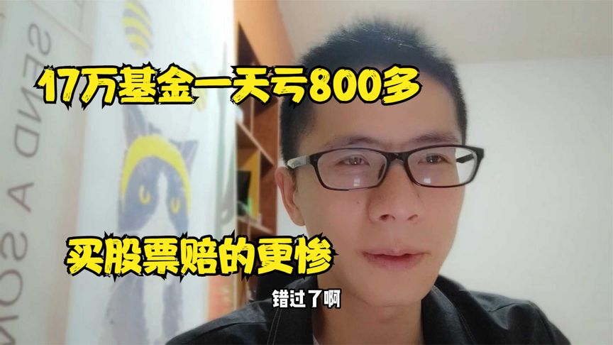17万买基金一天亏了875 买的股票赔的更惨