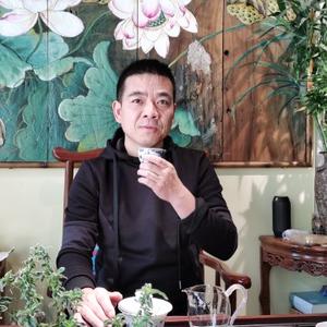 老罗说普洱 