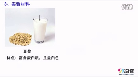 006实验检测蛋白质