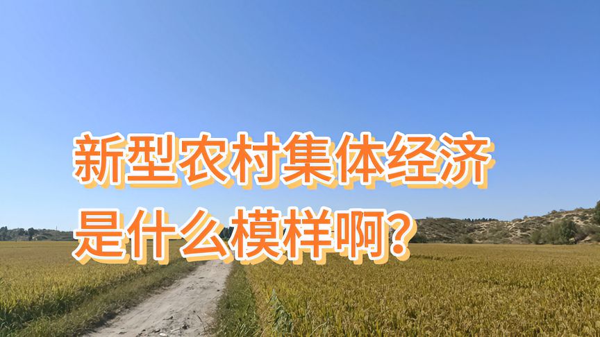 发展壮大新型农村集体经济多种模式